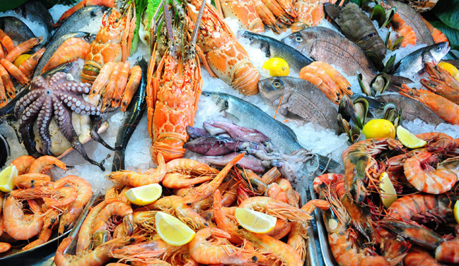 How to design and install seafood cold storage