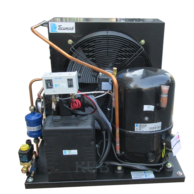 TAG2522ZBR Commercial Condensing Units R404 Refrigerant Cold Storage ...