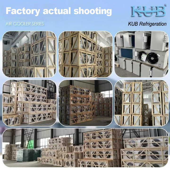 DJ series DJ100 unit cooler CE certificate Custom air cooler Evaporator ...